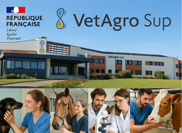 Vetagro Sup